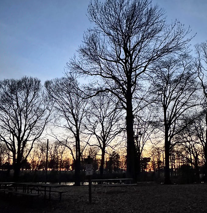 As day surrenders to evening, the silhouetted sentinels of Rocky Point stand witness to nature's daily color show.