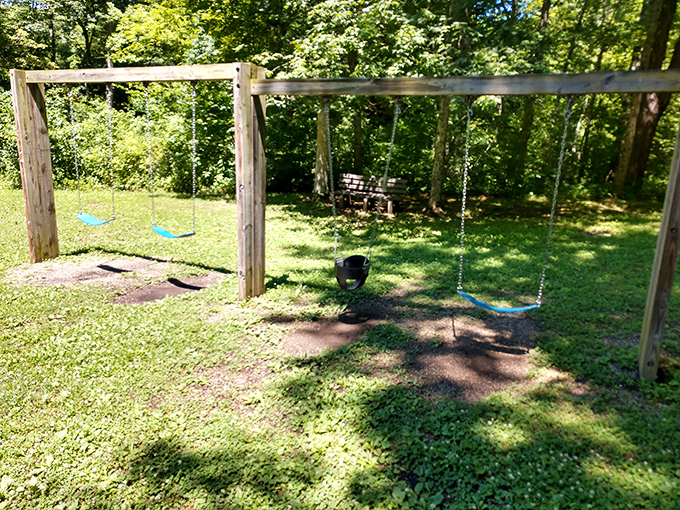 Simple playground swings remind us that joy doesn't require batteries, internet connections, or assembly instructions required.