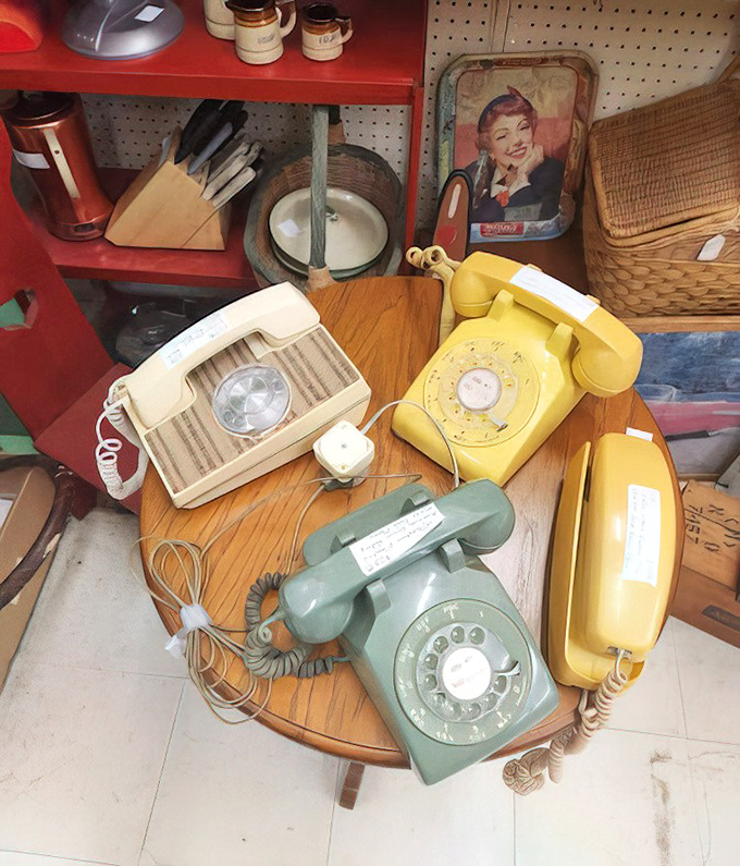 Rotary phones in technicolor glory. These communication dinosaurs once connected families across America, no emoji required.