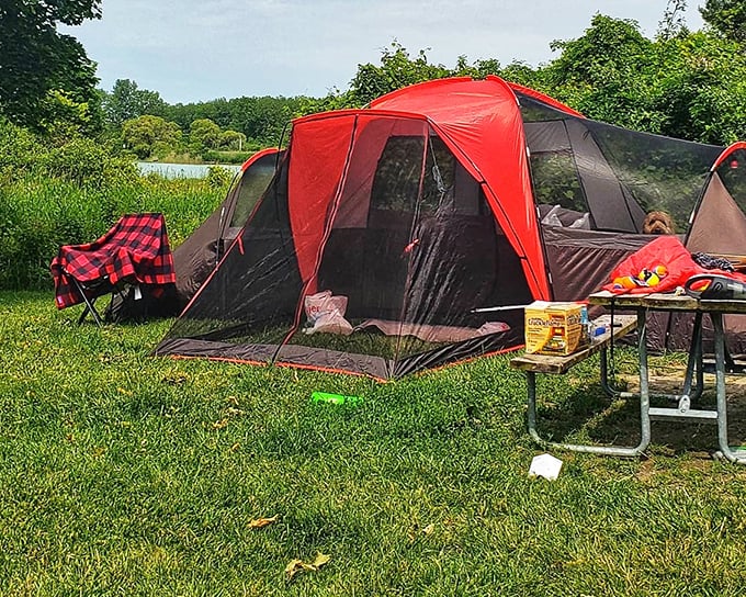 Camping setup that says, "Yes, we brought everything including the kitchen sink." Buffalo plaid chair included for authentic outdoorsy cred. 