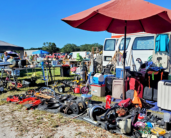 Professional-grade tools rest alongside weekend warrior specials, each promising to make your next project easier than expected.