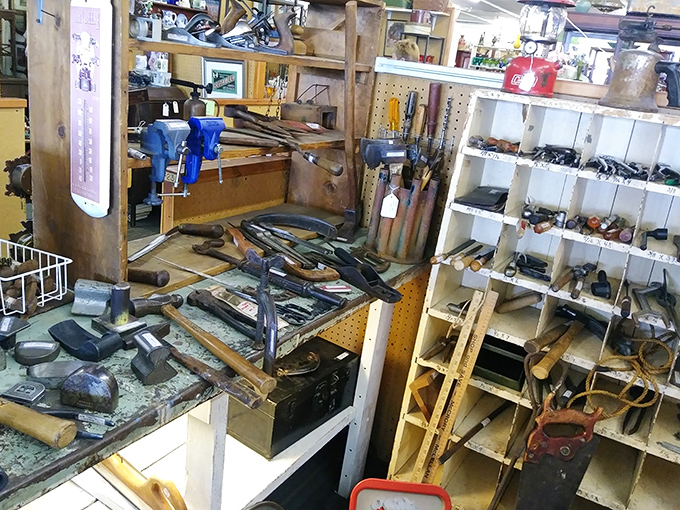 A handyman's paradise of vintage tools, where craftsmanship meets function in a display that would make your grandfather nod with approval.