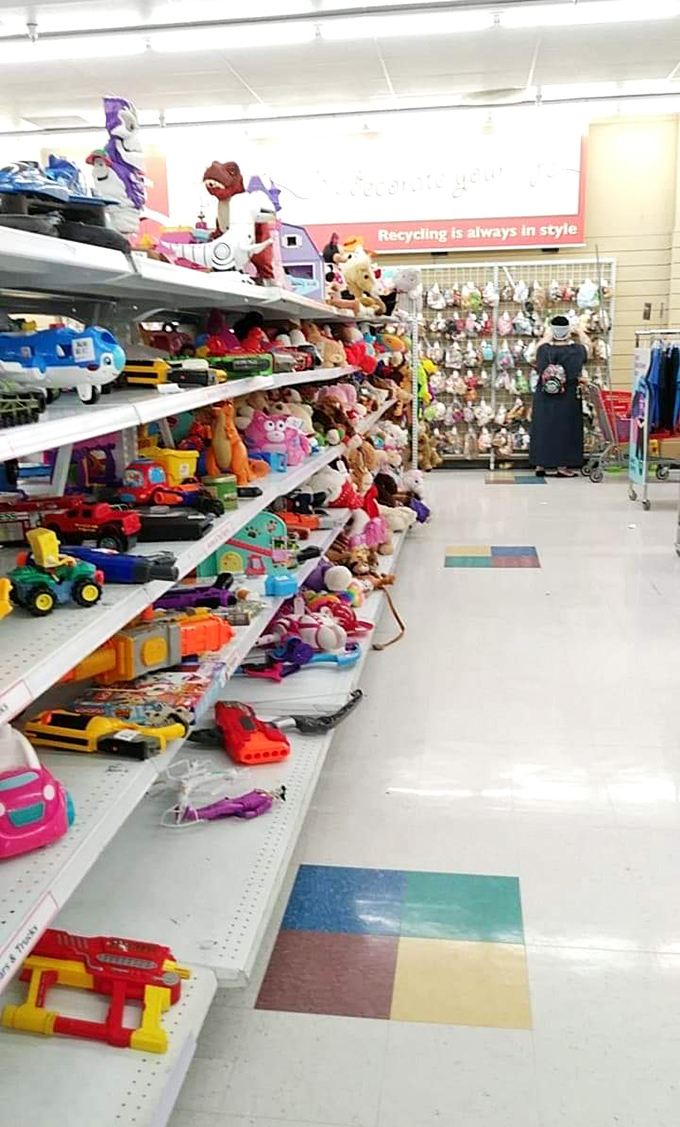 The toy section&mdash;where childhood memories are recycled, plastic dinosaurs find new adventures, and parents save small fortunes.