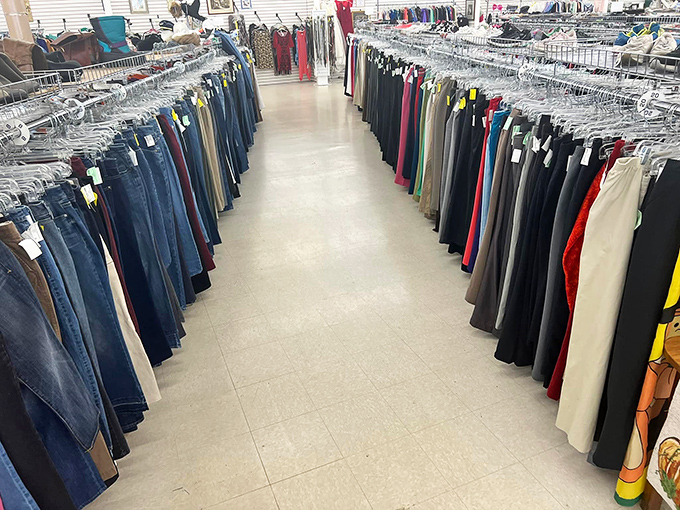 The pants corridor &ndash; where denim goes to find its second chance. This impressive collection ranges from "just bought yesterday" to "definitely survived the '90s."