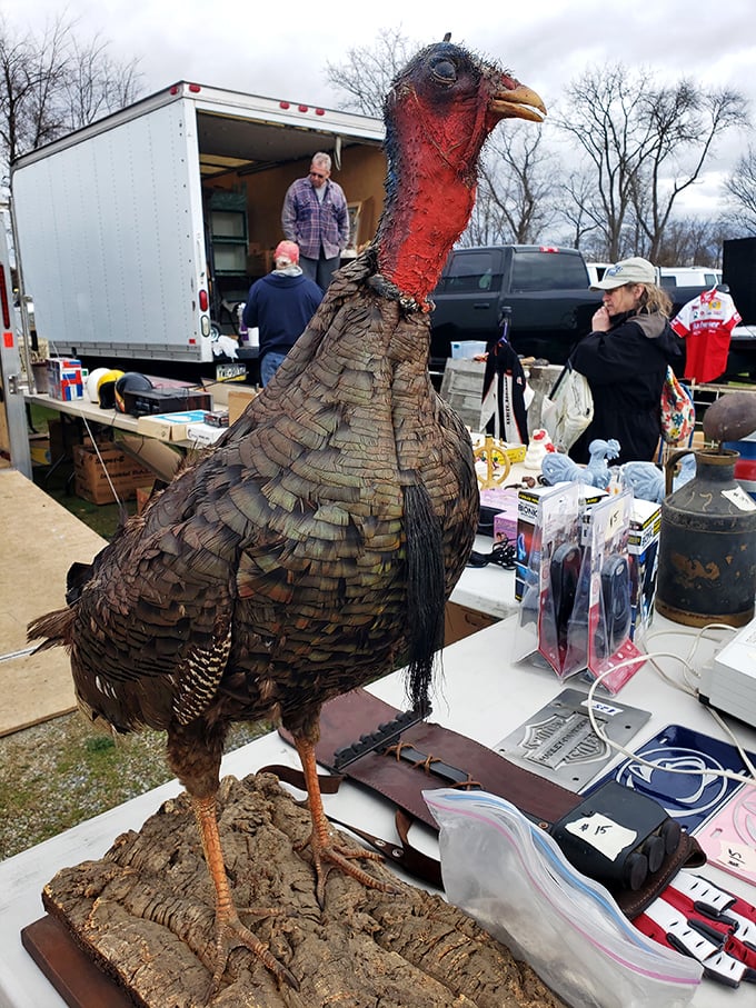 "Talk about a conversation starter!" This impressively preserved turkey taxidermy specimen commands attention amid the day's more conventional offerings.