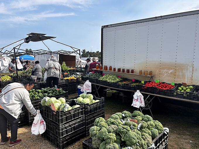 Fresh vegetables await their culinary destiny, proving Reits isn't just about treasures for your home, but for your dinner table too.