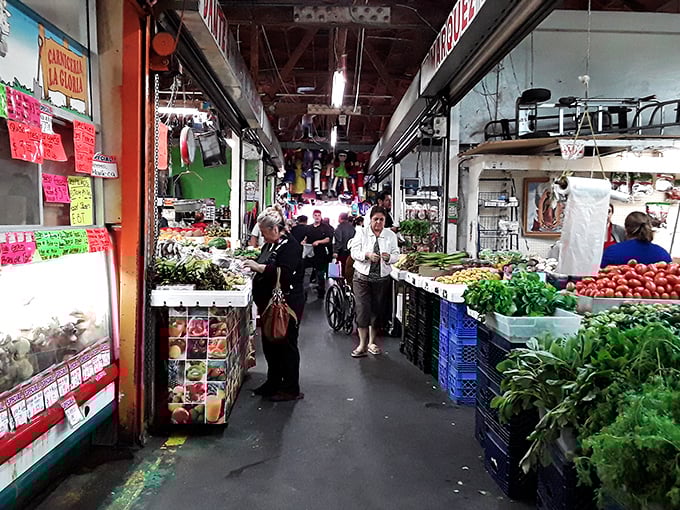 Fresh produce that puts supermarkets to shame. These vegetables didn't spend a week on a truck—they're ready to become tonight's family dinner.