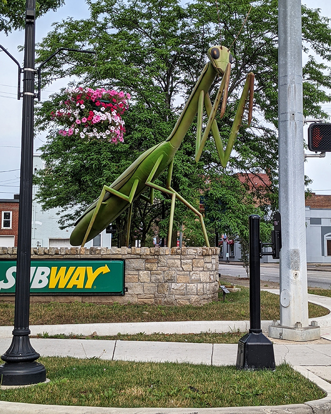 From Washington Street, KokoMantis appears to be surveying its kingdom, perhaps contemplating which building would make the tastiest snack.