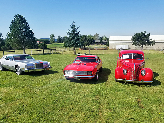 Classic car shows that prove some things just get better with age and proper maintenance.