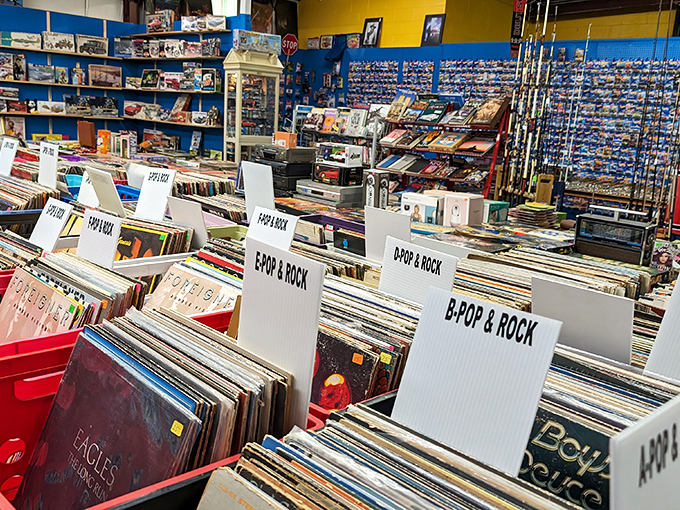 Vinyl records organized by genre&mdash;each cardboard divider a portal to different musical eras. B-Pop & Rock: where audiophiles hunt for that perfect album.