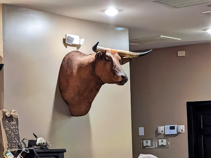 That mounted bull head isn't just decor&mdash;it's keeping a watchful eye on quality control from its wall perch. 