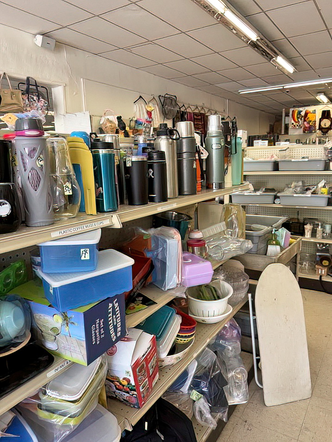 A rainbow of water bottles and thermoses stands at attention, ready for new hiking trails and office desks.
