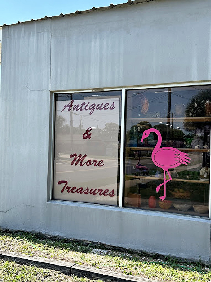 A pink flamingo guards the window like Florida's unofficial sentinel. Even the store's name seems to promise adventures beyond the glass.
