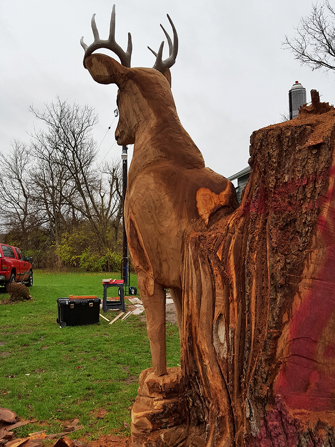 From tree trunk to masterpiece&mdash;this wooden deer sculpture captures the spirit of the park's wild residents with impressive craftsmanship.