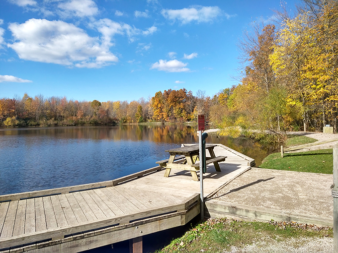 Autumn's grand finale deserves an audience. This wooden dock extends like an invitation to sit awhile and witness nature's most colorful production of the year.