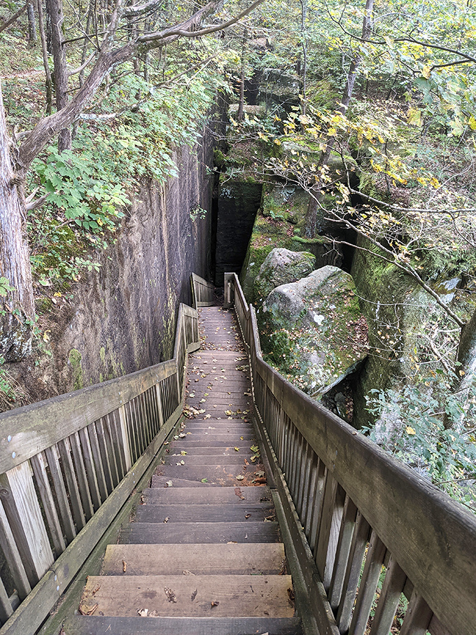 The descent into Little Grand Canyon feels like stepping into another world. These stairs have launched countless adventures and tested countless knees.