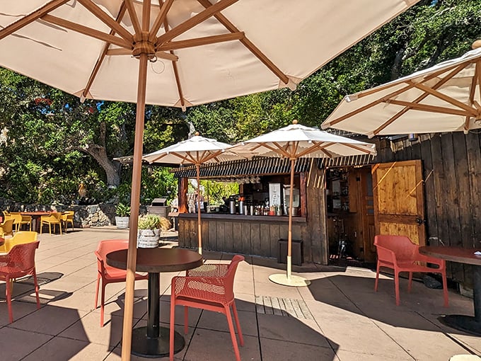 Nepenthe's colorful outdoor seating area offers a feast for the eyes that rivals even its famous Ambrosia Burger.