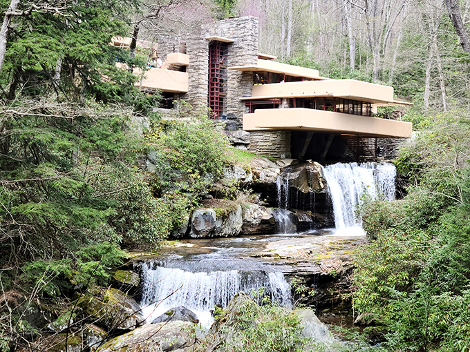 Stewart Township's fire station: ready to rescue cats, fight fires, and host the occasional pancake breakfast.