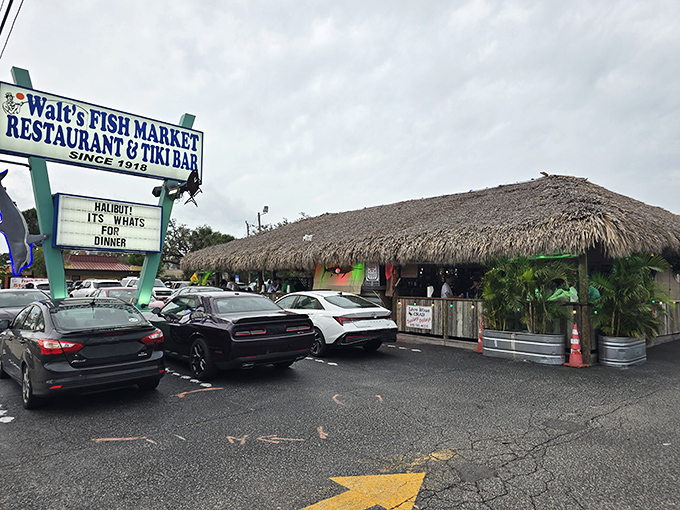 Walt's thatched roof promises tropical flavors that deliver every time. That sign has guided hungry seafood lovers for generations.
