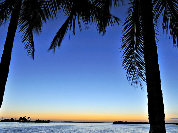 The sunset silhouettes of palm trees frame Matlacha's peaceful waterways in golden hour magic.