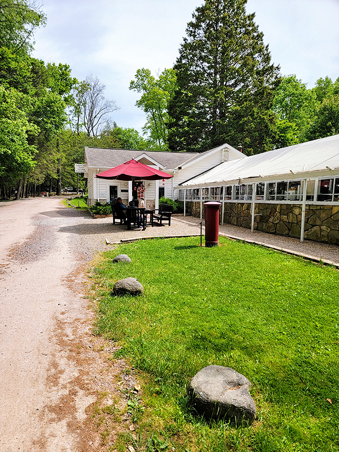 This Stewart Township stretch looks like where stress goes to retire and take up gardening.
