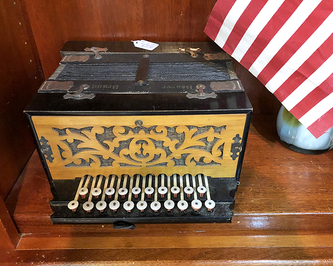 This ornate accordion doesn't just sit silently&mdash;it practically hums with phantom polkas and waltzes from gatherings long since ended.