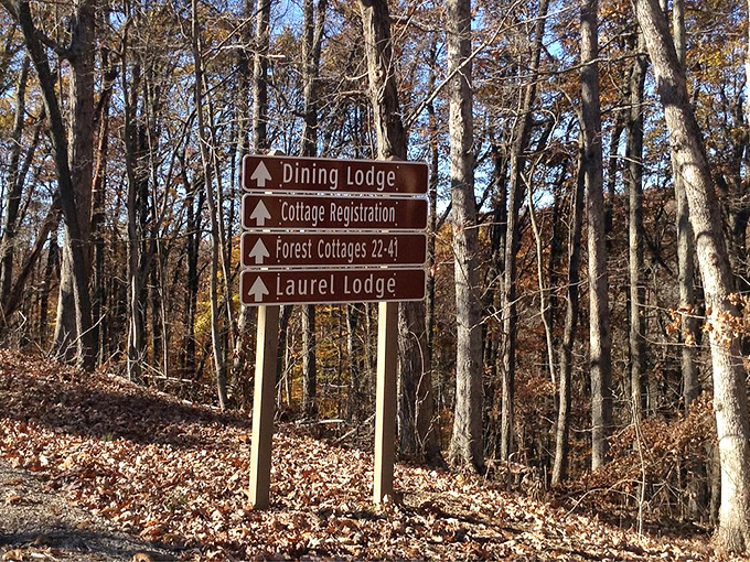 Even the directional signs here seem more welcoming than your average highway marker, practically inviting exploration.