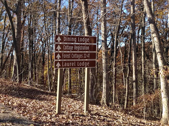 The forest's version of a street sign, guiding visitors to cozy lodges and cottages nestled among trees that don't care about your screen time.