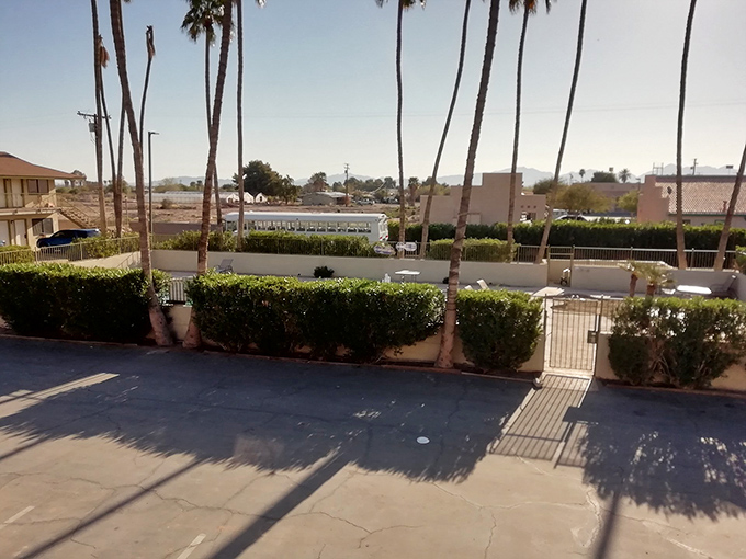 Tall palms stand sentinel over Blythe's residential areas, offering shade and that quintessential California silhouette against the desert sky.