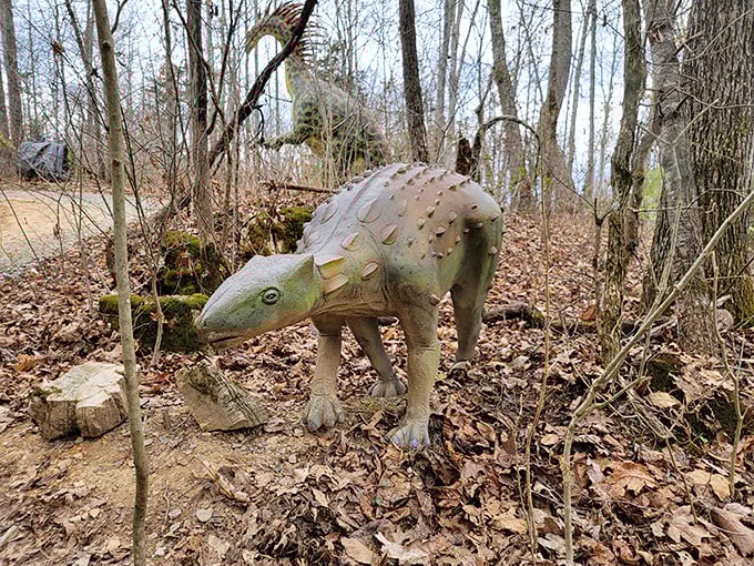 Fall in Tennessee brings a carpet of leaves for this armored Ankylosaurus. Even 65 million years ago, someone had to clean up the yard.