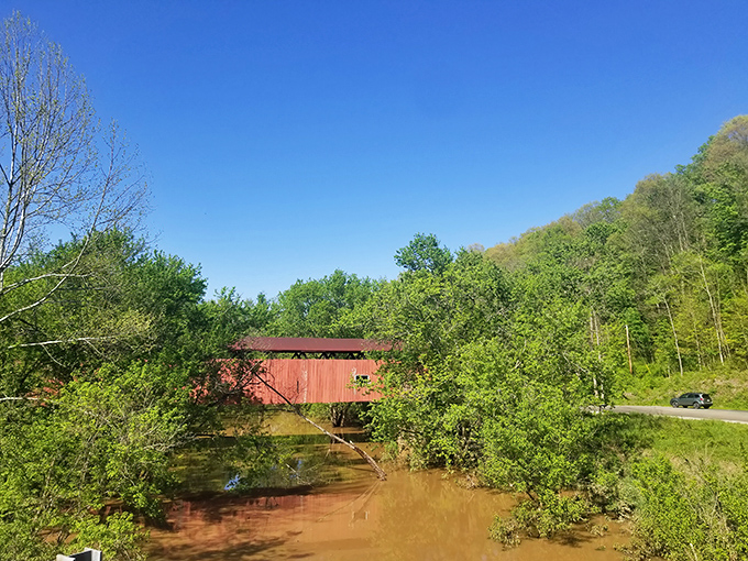 Peeking through the trees, the bridge's distinctive silhouette appears like a secret passage across waters that have flowed since before Ohio was a state.