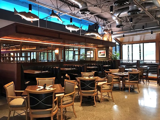 Model fish suspended from industrial ceilings&mdash;a playful reminder of what you're here for in this thoughtfully designed dining space.