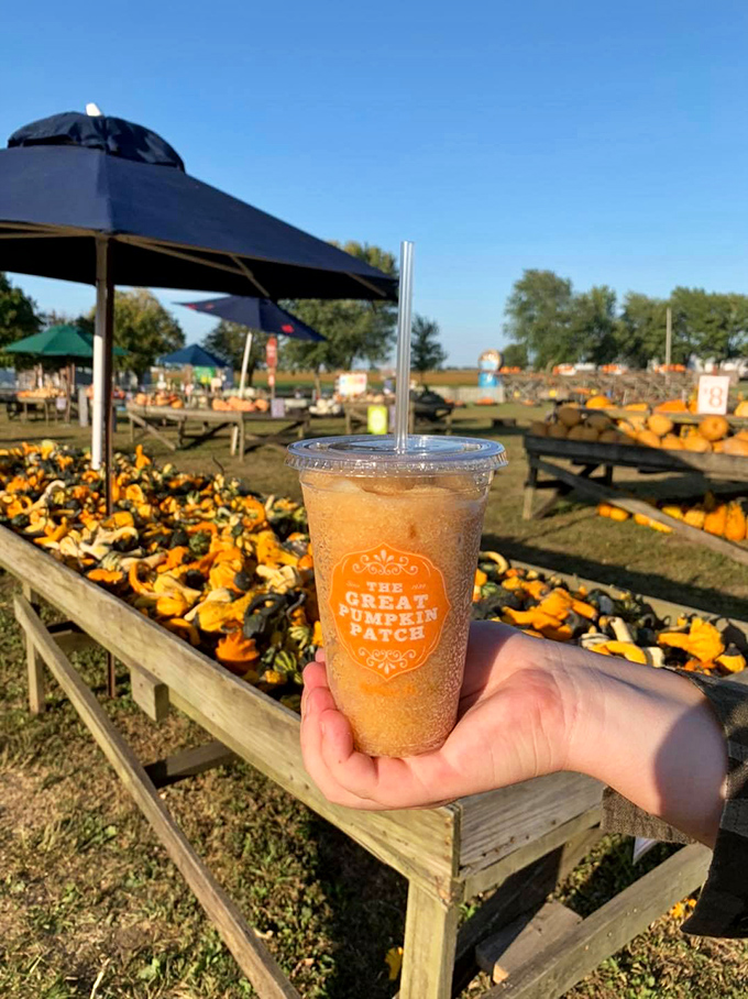 Apple cider slushies&mdash;autumn's perfect refreshment enjoyed against a backdrop of pumpkin paradise. Summer has nothing on this seasonal sip.