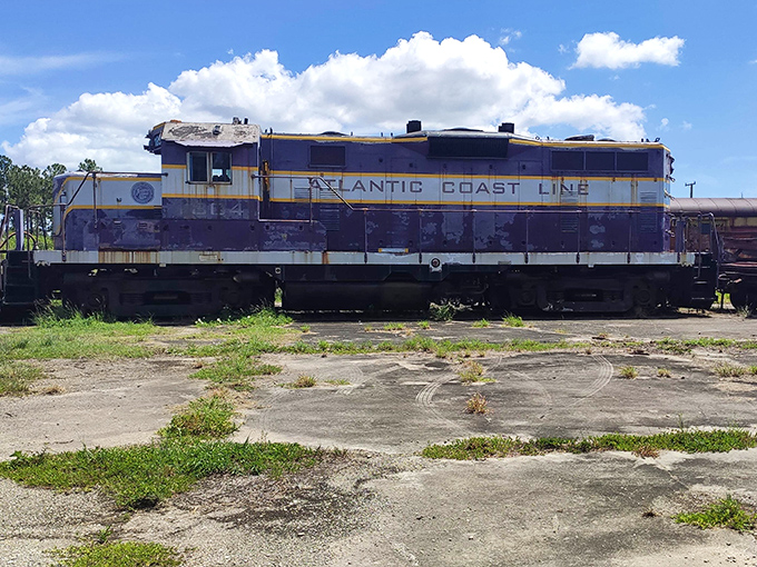 This weathered Atlantic Coast Line diesel locomotive has seen better days, but its powerful silhouette still commands respect from train enthusiasts.