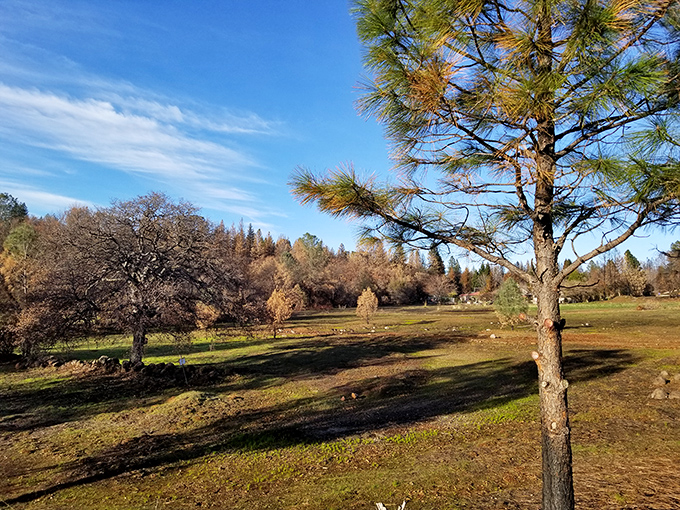 Autumn paints Paradise in watercolor hues. This golden meadow proves that California does indeed have seasons&mdash;they're just more subtle.