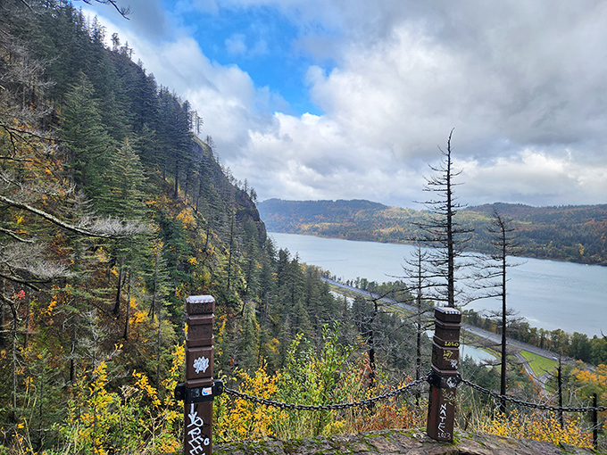 Fall transforms the Columbia River Gorge into a painter's palette, with golden hues framing the silver-blue river below.