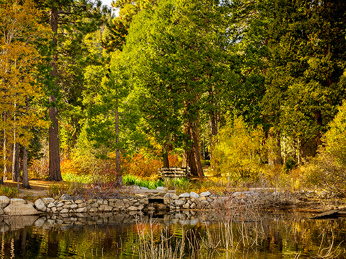 Autumn paints Vikingsholm's surroundings in gold and amber, proving that even Vikings appreciate a good seasonal color palette.