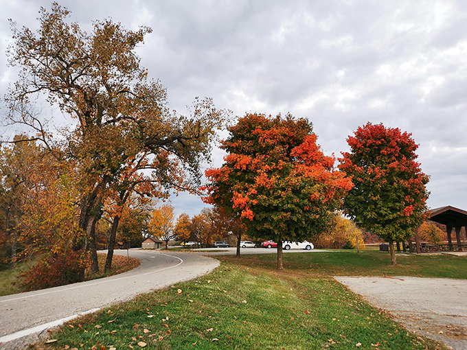 Fall foliage that puts Instagram filters to shame. Nature's grand finale before winter, performed in brilliant technicolor.