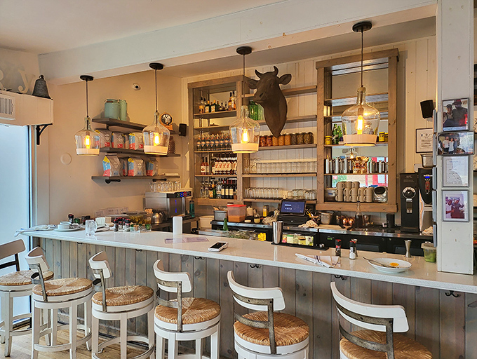 The bar seating offers front-row tickets to the breakfast show, where morning magic happens under the watchful eye of that mounted bull.