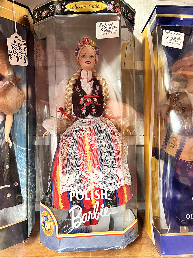 Collector's edition Barbies: where childhood nostalgia meets adult collecting passion. This Polish beauty never went through an awkward phase.
