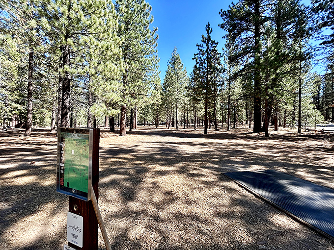 Bijou Park's serene pine forest offers trails where the only sound is your footsteps on pine needles &ndash; nature's version of a meditation app.