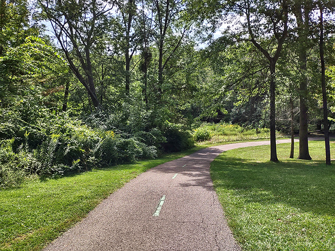 The park's winding trails offer a choose-your-own-adventure story where every turn reveals another reason to keep exploring.