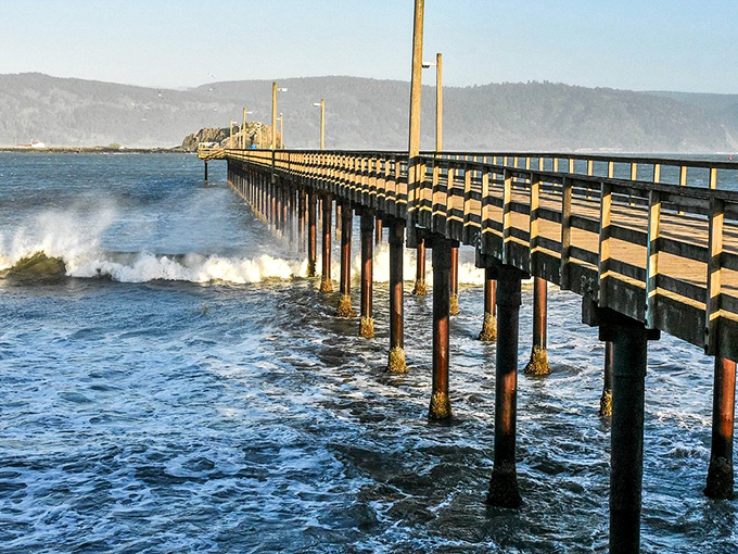 The Crescent City pier stretches toward the horizon, where each wooden plank has survived decades of Pacific tantrums.