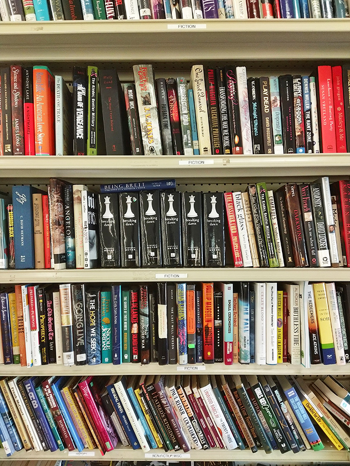 The fiction section: where literary adventures cost less than a cup of coffee and travel to distant worlds doesn't require a passport.