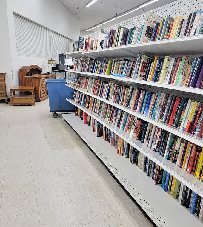 The bookshelf section: where literary adventures cost less than a latte. From bestsellers to obscure gems, these pages are ready for new eyes.