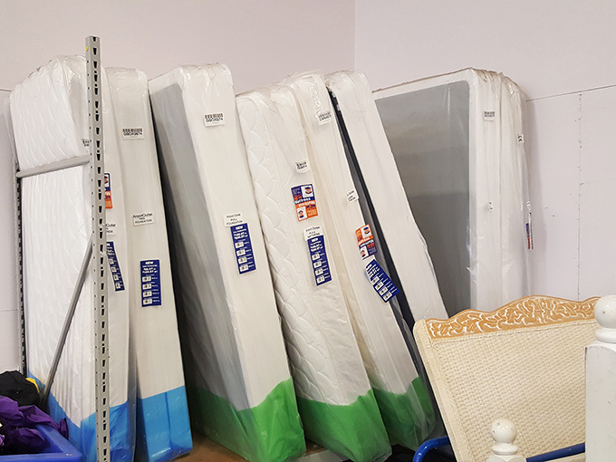 Sleep tight without emptying your wallet. These fresh mattresses prove not everything at the bins has a previous life story.