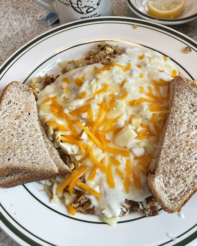 Morning masterpiece: hash browns nestled beneath melted cheese with toast standing at attention, ready for the breakfast hall of fame.