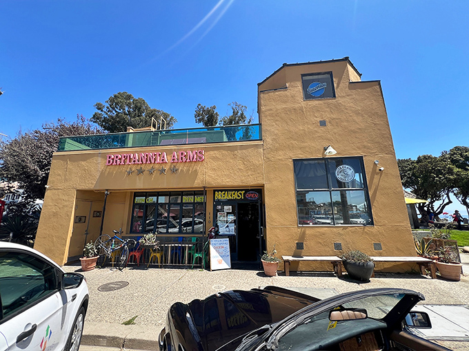 Britannia Arms serves up that perfect combination of hearty pub fare and beachy vibes – fish and chips taste better with sand between your toes.