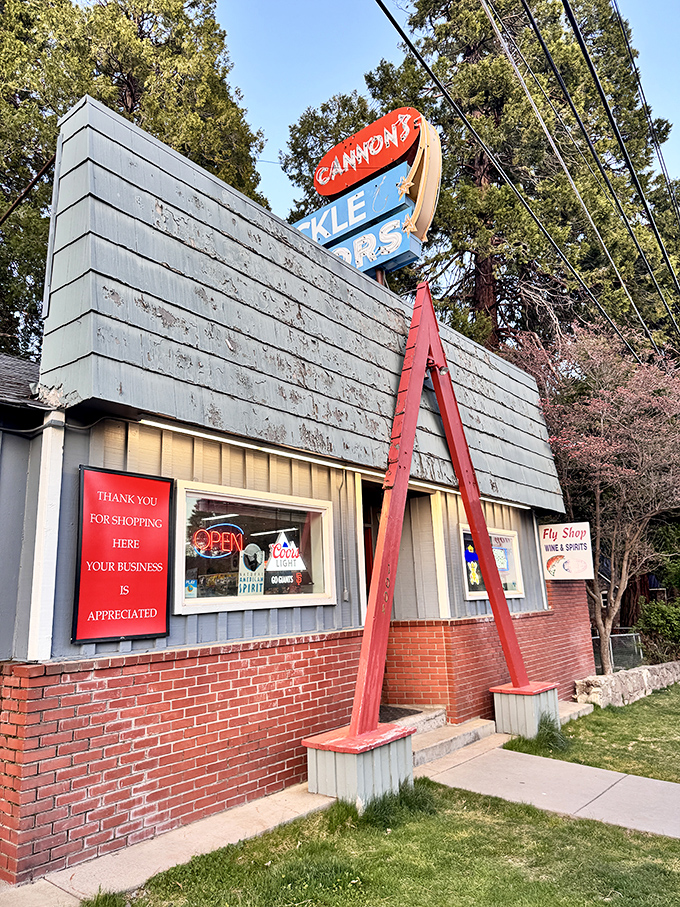 Vintage signs like this are Mount Shasta's version of historical landmarks. Cannon's has likely witnessed decades of fishermen stocking up before casting lines.