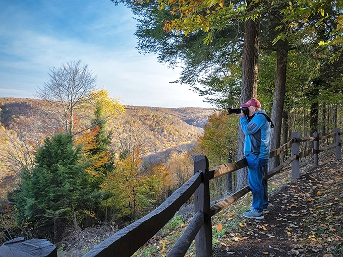 Fall foliage at Canyon Vista overlook&mdash;nature's way of showing off before winter, like a peacock with better timing.